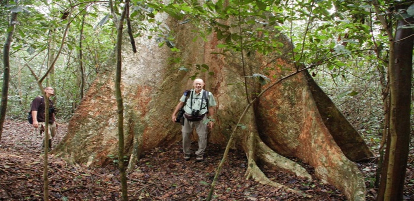 EASTERN REGION – National Commision on Culture